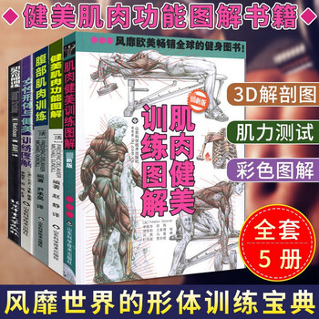 健美肌肉功能图解5册 德拉威尔肌肉力量解剖学图谱健身书籍 徒手健身精准拉伸训练体能训练运动健身减脂