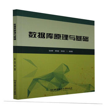 数据库原理与基础计算机与互联网  图书