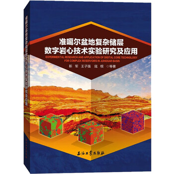 准噶尔盆地复杂储层数字岩心技术实验研究及应用 图书