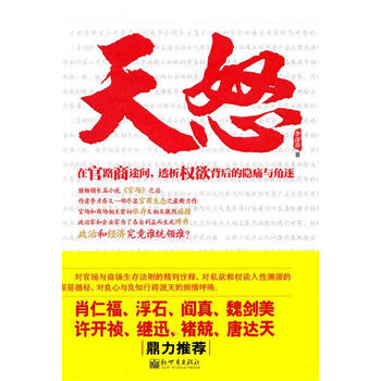 长篇小说 天怒 李彦乔　著