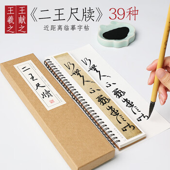 王羲之王献之《 二王尺牍》行书草书九帖手札 快雪时晴帖 平安帖丧乱帖游目帖中秋帖毛笔书法近距离临摹字 《二王尺牍》