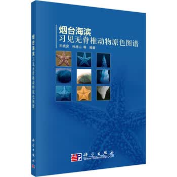 烟台海滨习见无脊椎动物原色图谱 王晓安 等 编 生物科学 WX