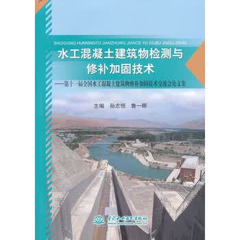 水工混凝土建筑物检测与修补加固技术第十一届全国水工混凝土建筑 孙志恒、鲁一晖
