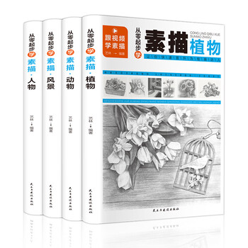 全4册 素描零基础教程从入门到精通教程材书籍植物 人物素描速写美术绘画入门基础教程教材书籍 速写基础