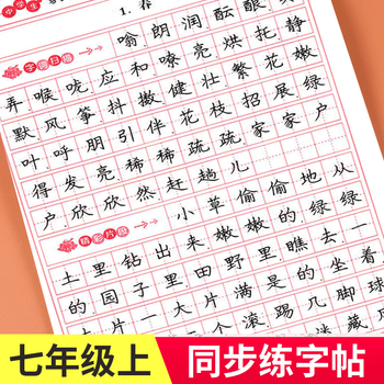 七年级上册同步字帖写字课课练初中生人教版语文练字帖正楷硬笔书法练字写字本天天练中学生钢笔楷书生字词习字帖