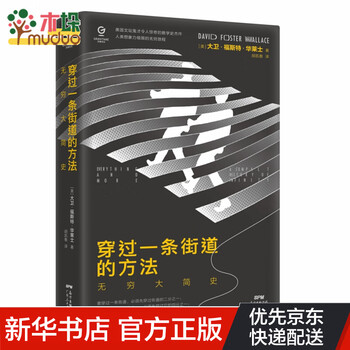 穿过一条街道的方法：无穷大简史