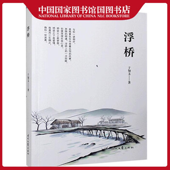 浮桥于知文小说9787538765267