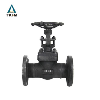 【泰流科技锻钢闸阀Z41H-25C】泰流科技（TKFM）锻钢闸阀Z41H-25C DN250【行情 报价 价格 评测】-京东