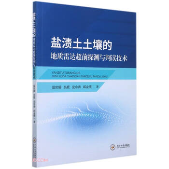 正版 盐渍土土壤的地质雷达超前探测与判读技术专著温世儒[等]著yanzituturang978754