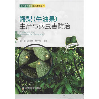 鳄梨(牛油果)生产与病虫害防治