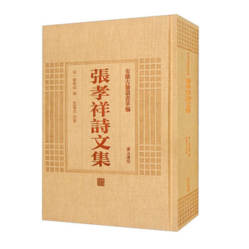 安徽古籍丛书萃编 张孝祥诗文集