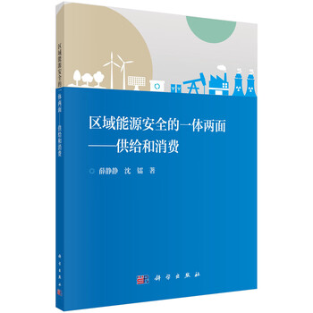 正版书籍 区域能源安全的一体两面：供给和消费 薛静静沈镭经济学和供给安全管理理论区域能源供给安全评