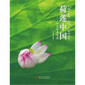 正版 荷莲中国:荷花你在哪里王力建9787568016179