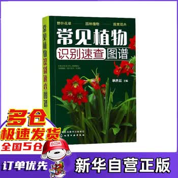 常见植物识别速查图谱