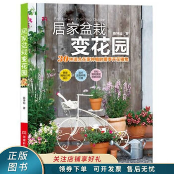 居家盆栽变花园 陈坤灿
