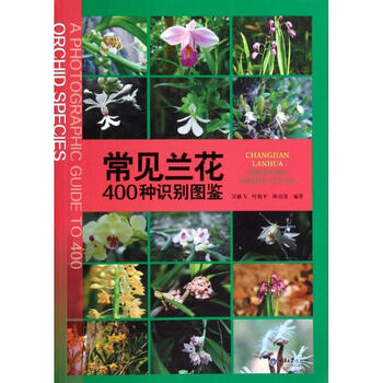常见兰花400种识别图鉴