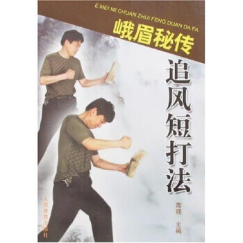 峨眉秘传追风短打法 高翔