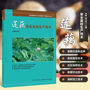 莲藕安全高效生产技术 莲藕优良新品种栽培技术 莲藕种植技术书籍大全 莲藕加工技术 莲藕栽培技术指导大全书 莲藕病虫害防治 莲藕高效高产生产技术 莲藕种植技术书大全 莲藕种植书 农业种植 农业种植大全