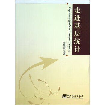 走进基层统计 张德铜 著