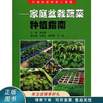 打造自家的安心菜园——家庭盆栽蔬菜种植指南 朱时建
