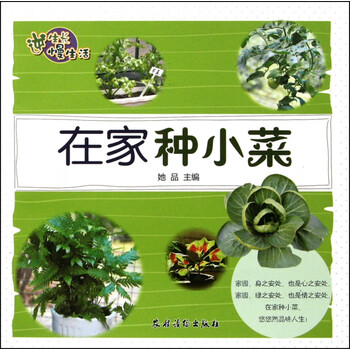 在家种小菜(逆生长慢生活)