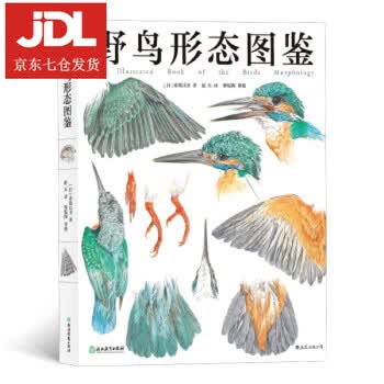 野鸟形态图鉴 [日]赤勘兵卫,赵天 9787553679624