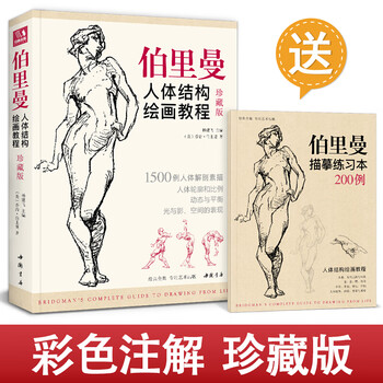 珍藏版 伯里曼人体结构教学 人物速写入门基础绘画临摹书籍 透视技法自学头像美术艺术手绘教材全套正版 杨建飞主编 伯里曼人体结构绘画教程