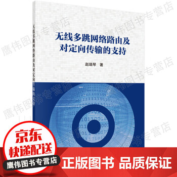 无线多跳网络路由及对定向传输的支持