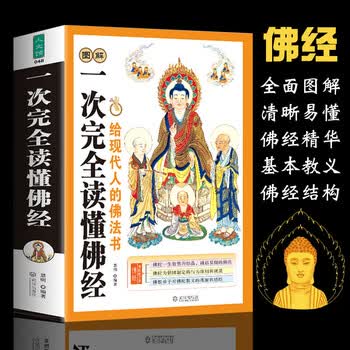 一次性完全读懂佛经给现代人的佛法书佛经佛家经典书籍 佛学入门地藏经金刚经六祖坛经大方广佛华严经无量寿