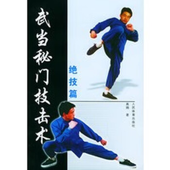 武当秘门技击术——绝技篇【正版图书】