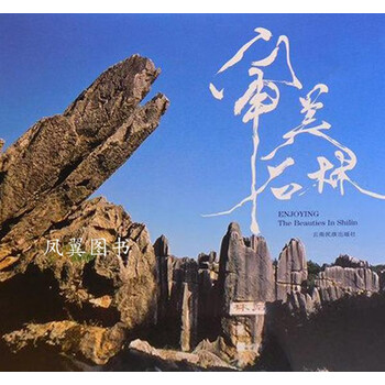 审美石林 (彝)李忠德 云南民族出版社