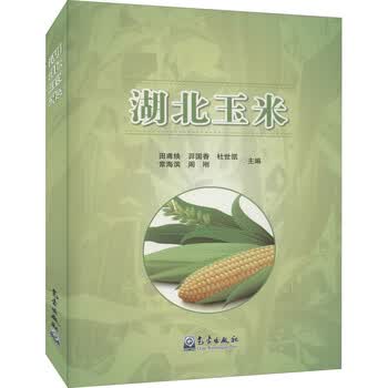 湖北玉米 田甫焕 等 编 书籍