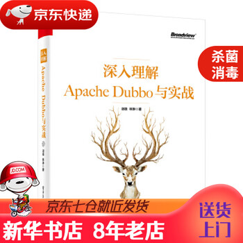 【新华书店 正版书籍】深入理解ApacheDubbo与实战(博文视点出品)诣极电子工业出版社 正版图书绘本