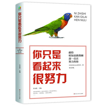 【正版包邮】你只是看起来很努力