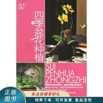 四季盆花种植