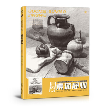 彦和文化周文超素描中考结构素描静物范本零基础教程全解析单体组合透视临摹书画册照片对应教材敲门砖范画入门美术绘画联考级 国美素描静物（从入门到高考一本通）