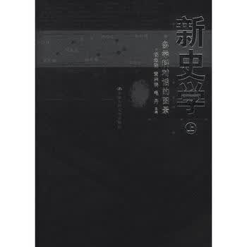 新史学（下册） 杨念群 黄兴涛 毛丹