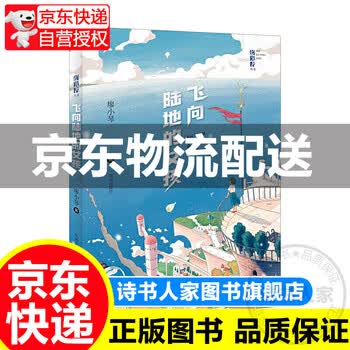 飞向陆地的女孩/拾光者丛书 廖小琴