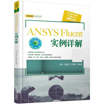 ANSYS Fluent 实例详解