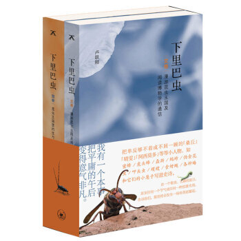 昆虫王国：下里巴虫