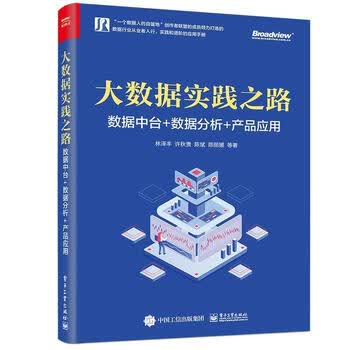 RT正版 大数据实践之路:数据中台+数据分析+产品应用