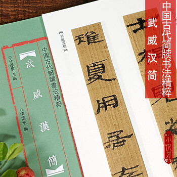 中国古代简牍书法精粹 武威汉简 毛笔书法字帖 临摹赏析 汉简字帖 毛笔古代简牍书法 简牍书法研究 河南美术出版社