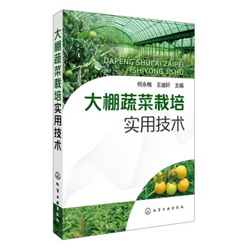 正版大棚蔬菜栽培实用技术 化学工业出版社