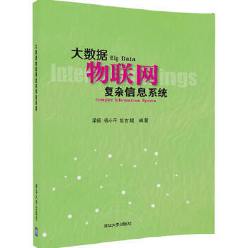 大数据物联网复杂信息系统