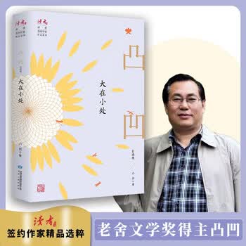 大在小处：凸凹自选集
