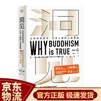 超级心智 洞见