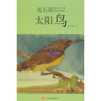 太阳鸟沈石溪 9787532484379