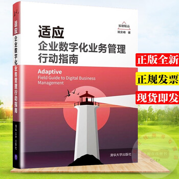 适应：企业数字化业务管理行动指南 姚安峰 著 清华大学出版社