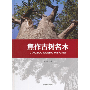 焦作古树名木 赵金录
