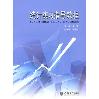 统计实习指导教程 单薇 立信会计出版社